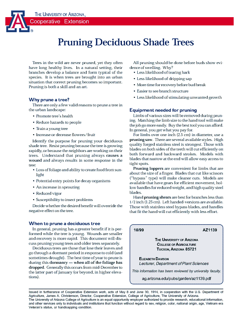 Pruning Deciduous Shade Trees